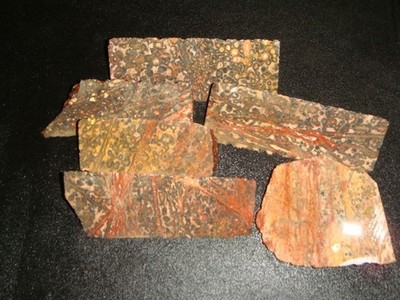 OLD LEOPARDSKIN JASPER CUT SPECIMENS MEXICO 1 3/4 POUNDS | eBay