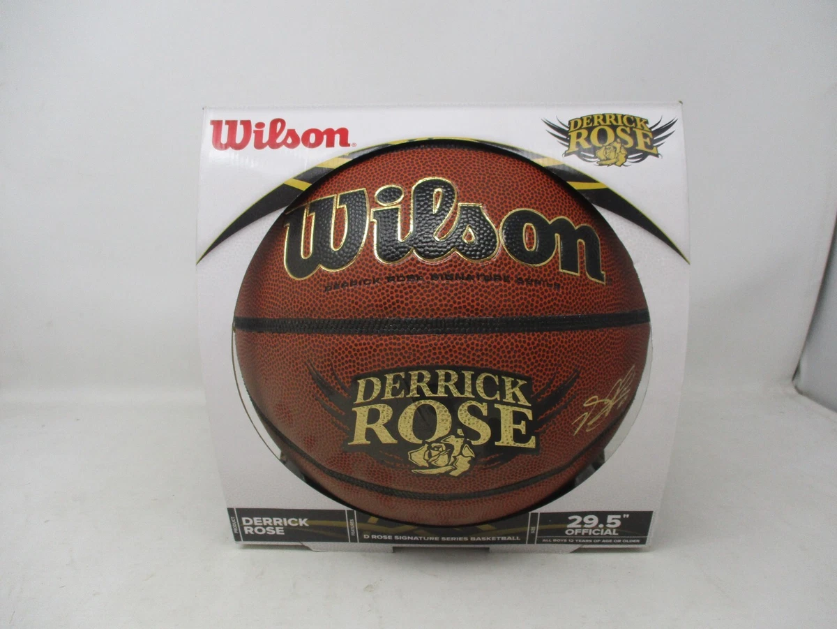 Derrick Rose Signature