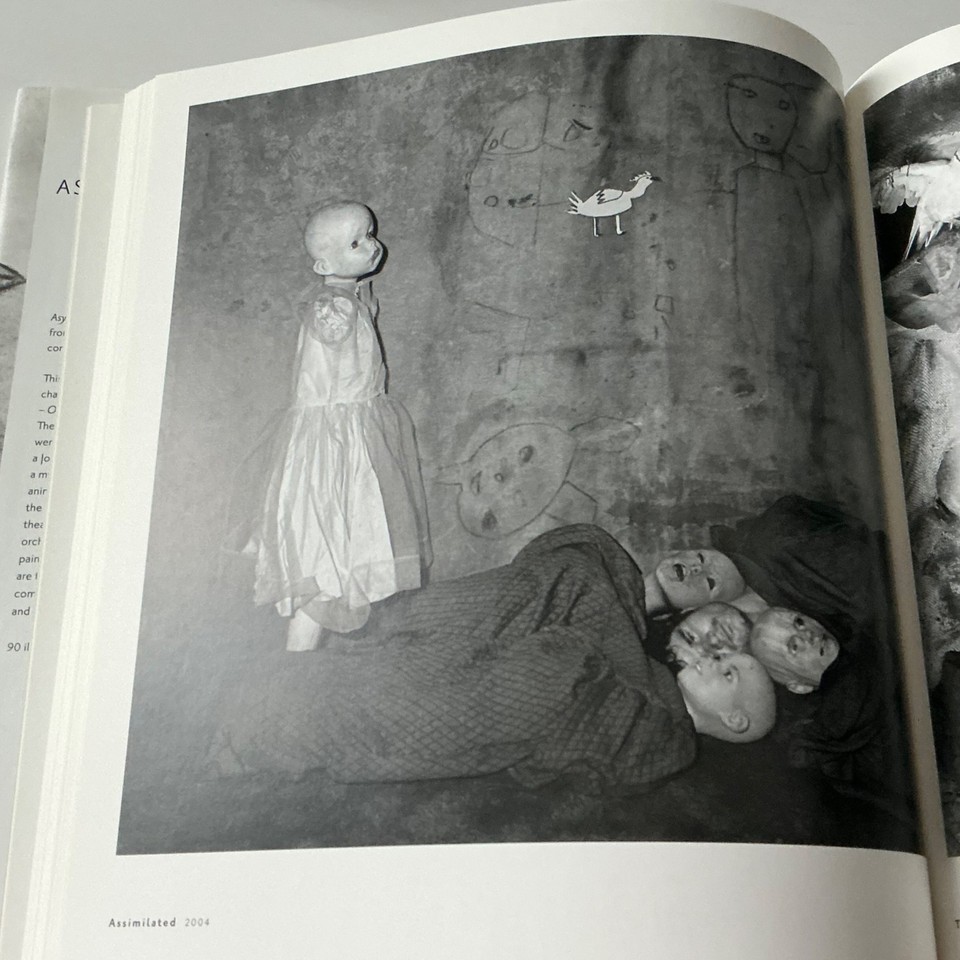 ROGER BALLEN Asylum of the Birds Hardcover w/DJ 2014 B&W Photography ...