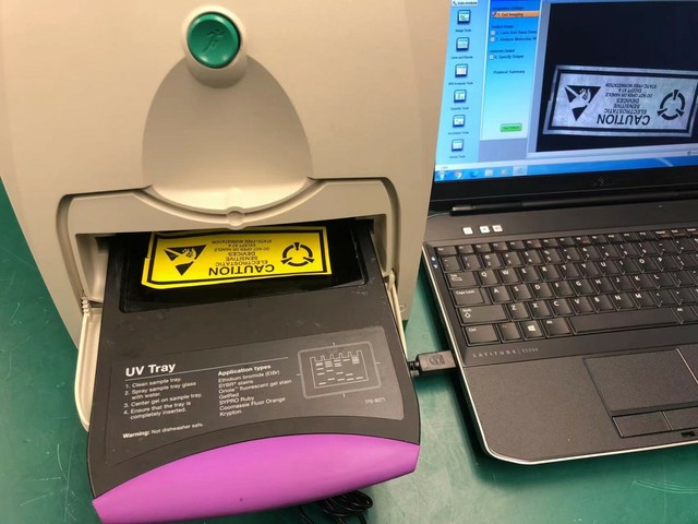 Bio-Rad Gel Doc EZ Imager Documentation imaging System 735BR & trays w ...