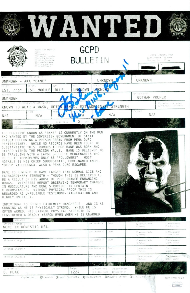 Batman Arkham Origins Wanted Poster