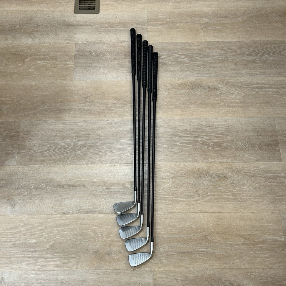 Ping G400 Iron Set Blue Dot 5-9 Senior Flex Alta CB Graphite RH | eBay