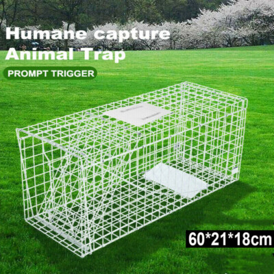 Squirrel Trap Heavy Duty Metal Humane Live Vermin Pest Animal Large ...