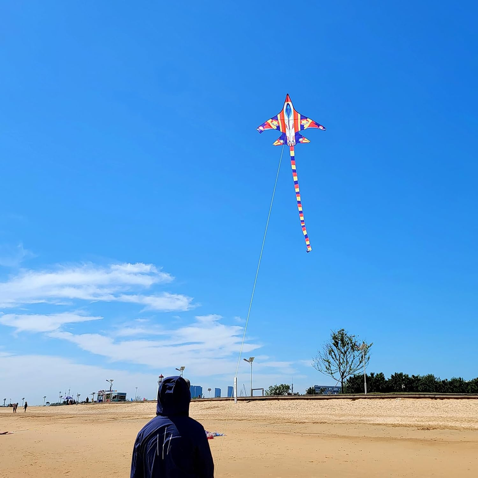 Airplane Kite for Kids & Adults, Easy to Fly Plane Kite for Boys ...