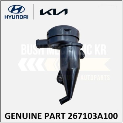 GENUINE OEM Hyundai Kia Oil Separator 267103A100 | eBay