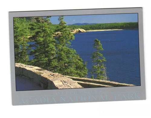 Otter Cliff Road on The Ocean Drive Acadia National Park Postcard ...