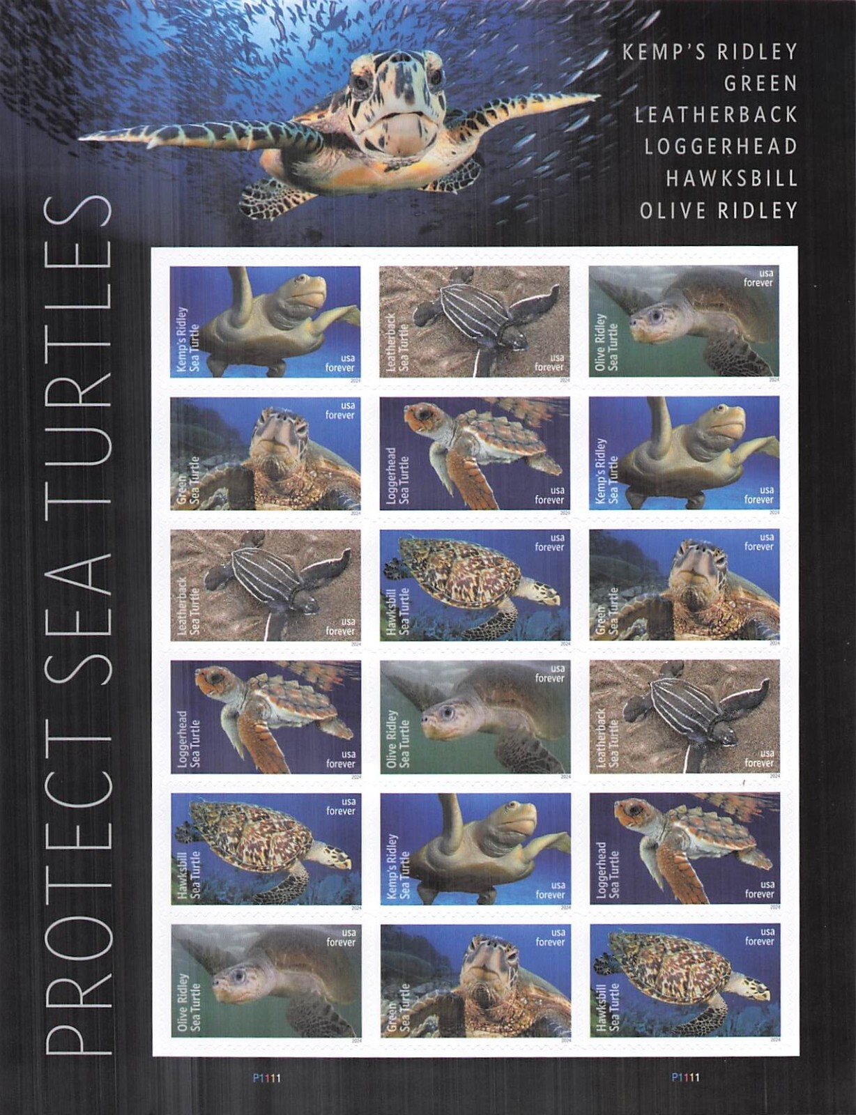 Mint US Protect Sea Turtles Pane of 18 Forever Stamps Scott# 5865-5870 ...