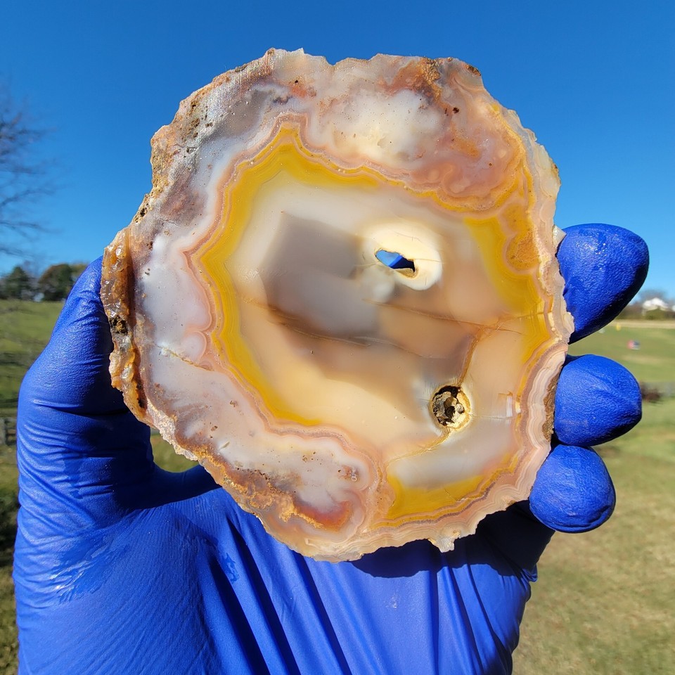 Kentucky Agate Geode - Estill County - Gold, Blue, Purple and Bonus ...