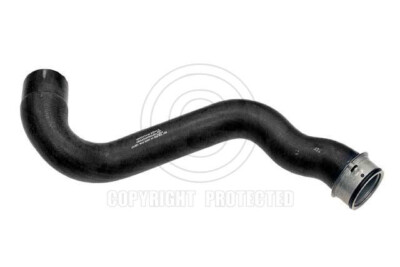 Porsche 987 Boxster Cayman (2005-2008) Return Coolant Hose 98710650204 ...