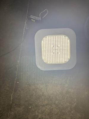 LSI Canopy Fixture LED Board And Glass- With Driver CRUS SC LED LW 30 ...