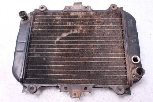 Radiator Kawasaki Kle 500 LE500A1-A6 91-96 | eBay