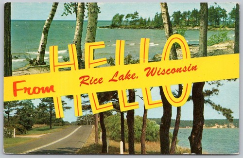Postcard WI Wisconsin Hello From Rice Lake Banner WI07 | eBay