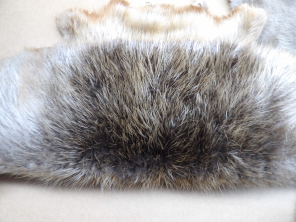 Professionally soft tanned beaver hide in Rug form/crafts/taxidermy | eBay