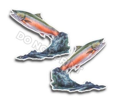 Salmon Vinyl Stickers FISHING NATURE Great Outdoors ANIMAL DECALS ...