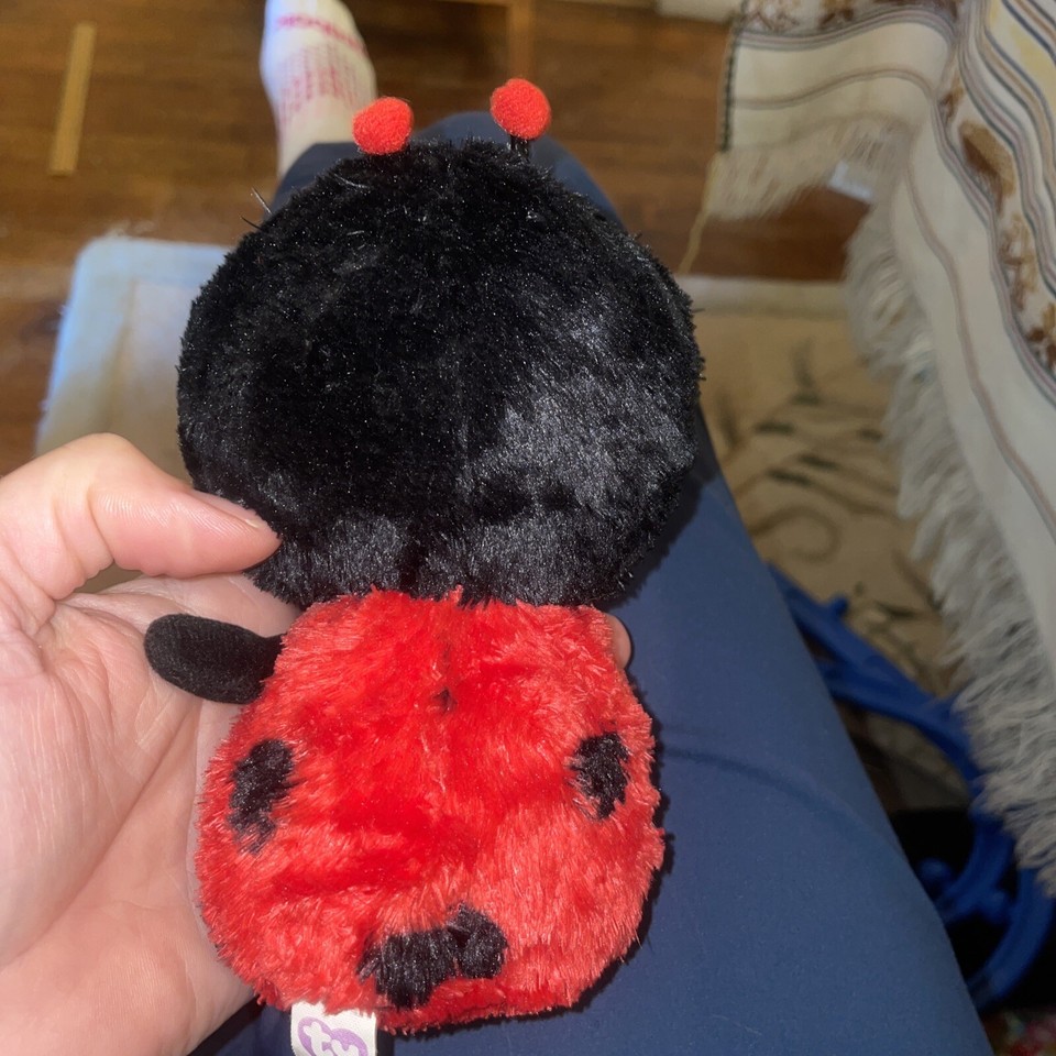 Ty BUGSY Ladybug Beanie Boo - Solid Eyes/Purple Tush Tag 6” | eBay