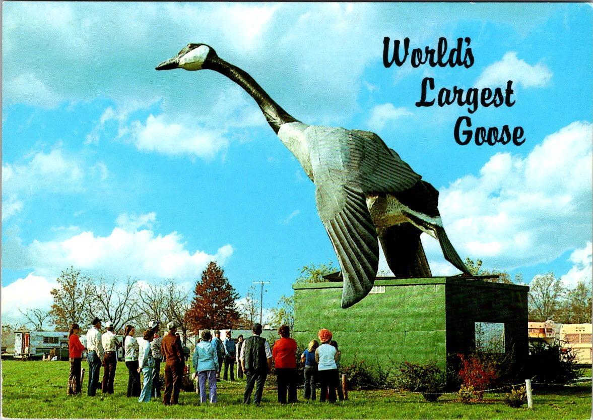 Sumner, MO Missouri GOOSE STATUE~MAXIE World's Largest ROADSIDE 4X6 ...