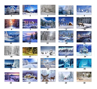 30 Personalized Address Labels Winter Scenery (ws1) | eBay