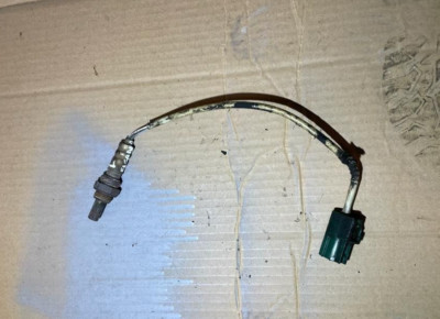 REAR LAMBDA OXYGEN SENSOR 226A0-WL000 FOR FITS NISSAN ELGRAND E51 3.5i 2002-2010 | eBay