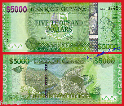 GUYANA GUYANE 5000 Dollars dolares 2011 Pick 40 SC / UNC | eBay