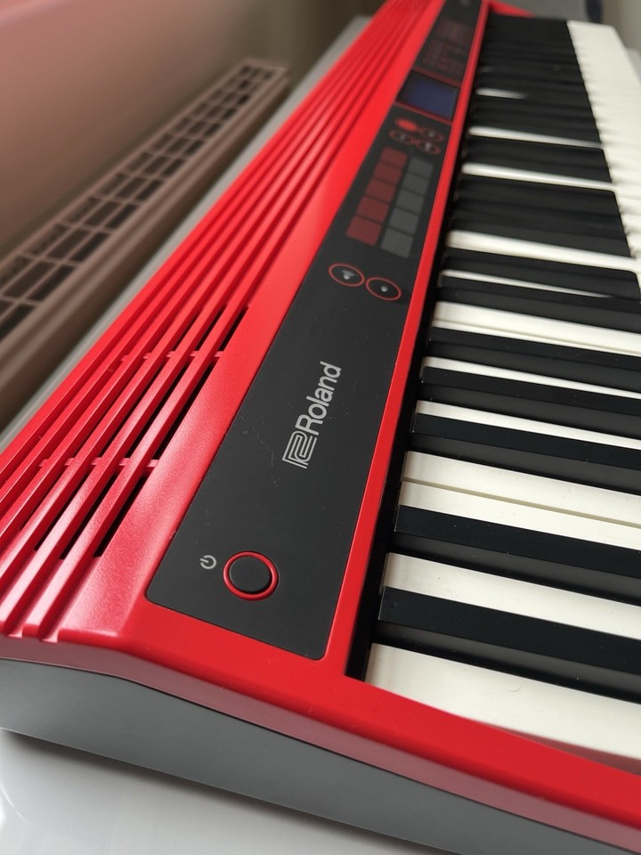 Roland Go 61-Key Digital Piano Electronic Keyboard *EXCELLENT* Power ...