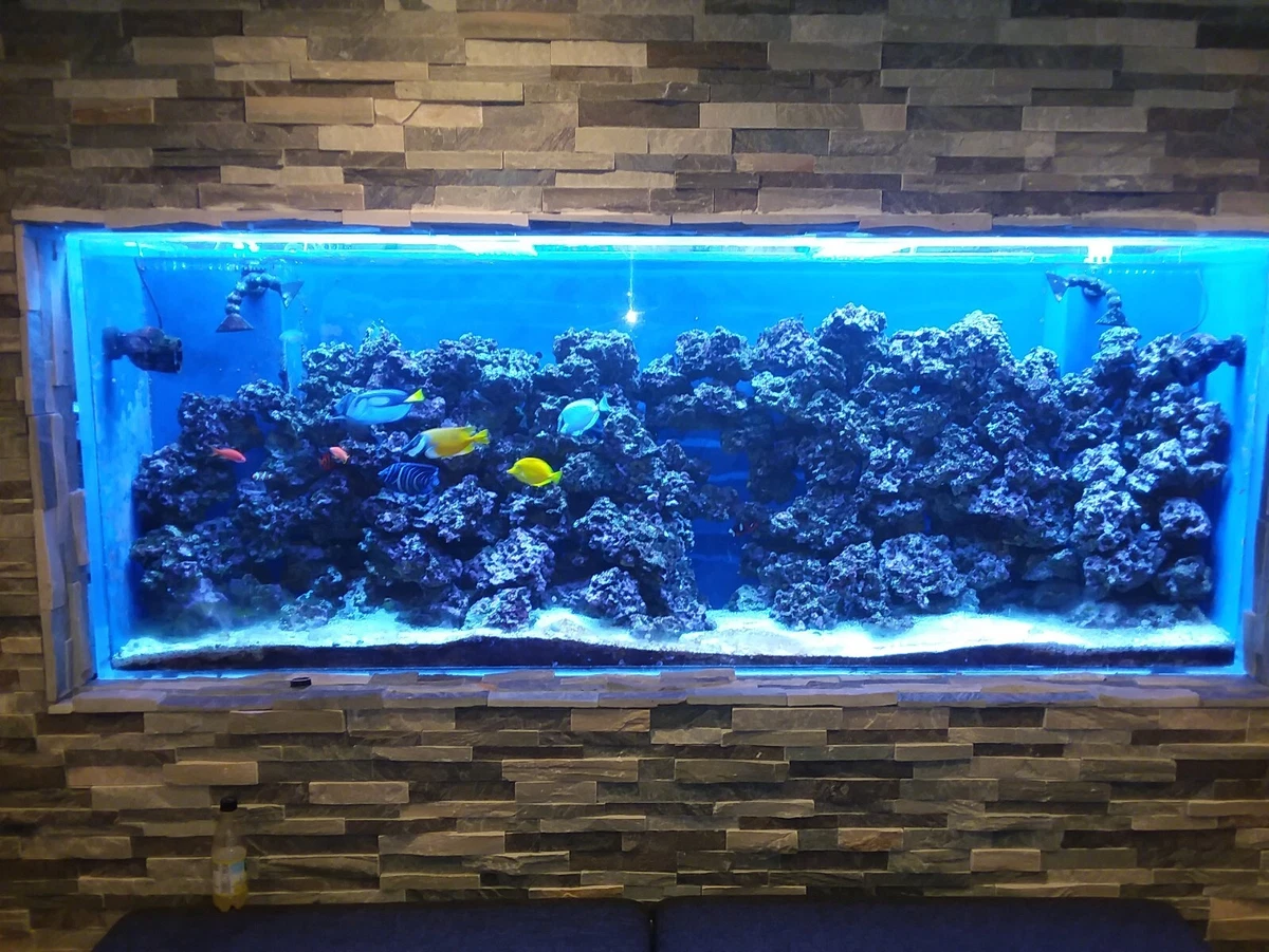5000 Gallon Fish Tank