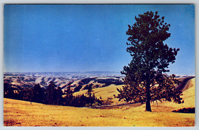 c1960s Immigrant Hill Pilot Rock Pendleton Oregon Blue Mountains Chrome ...