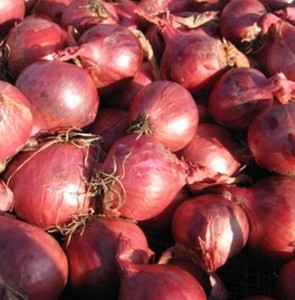 Garden at the Cove | eBay Stores