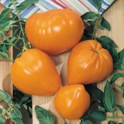 Tomato German Orange Strawberry 50 Seeds ORGANIC / NON GMO | eBay