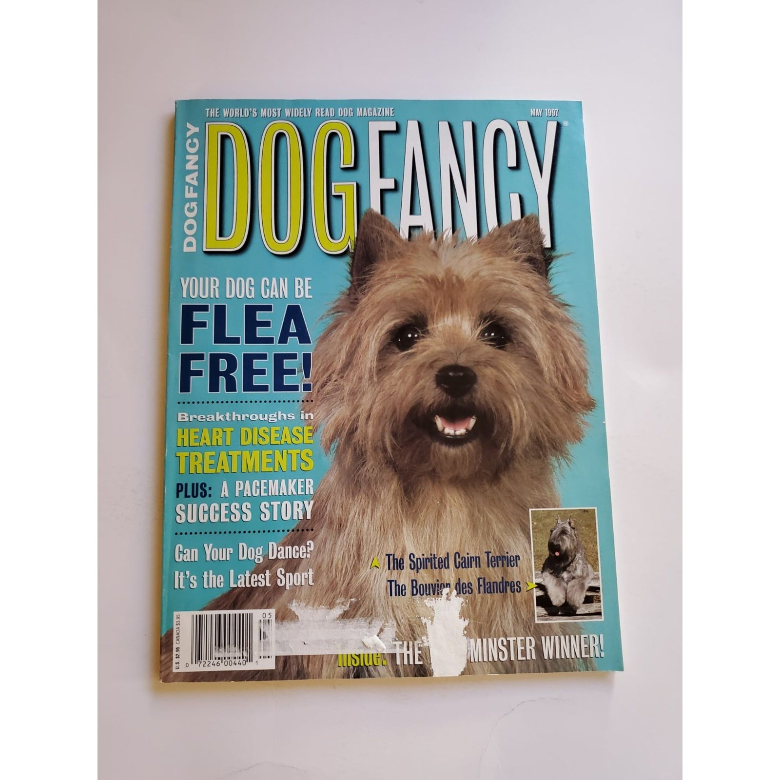 Cairn Terrier Cover Dog Fancy Magazine 1997 | eBay