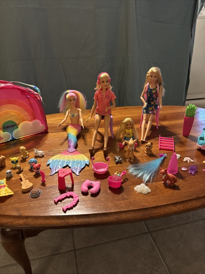 Used Lot Of Various Iconic Barbies Lots Of Accessories Excellent ...