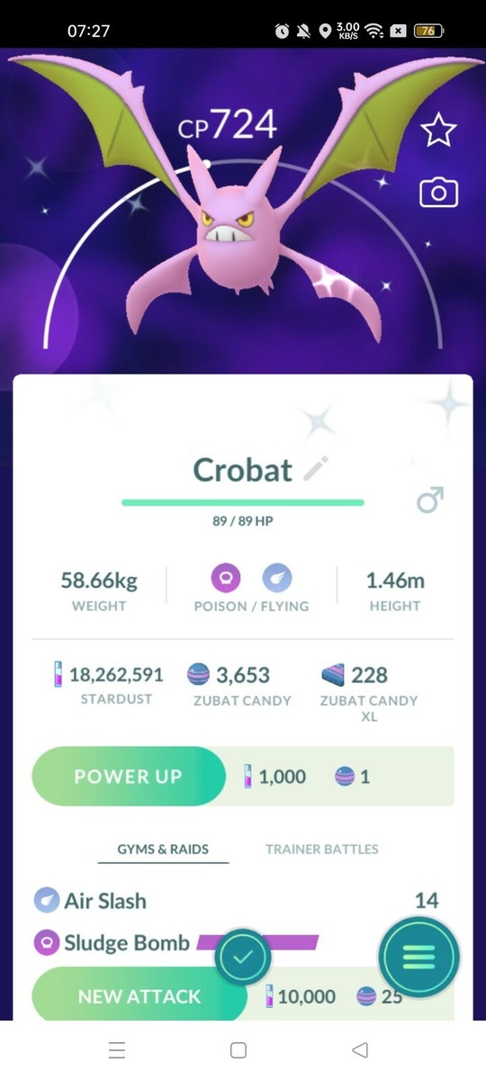 Zubat Evolution Level Pokemon Sword And Shield Zubat | Locations,