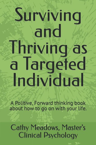 Surviving and Thriving as a Targeted Individual: How to Beat Covert ...