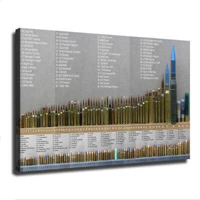 American Bullets Chart Posters Bullet Caliber Type Chart Canvas ...