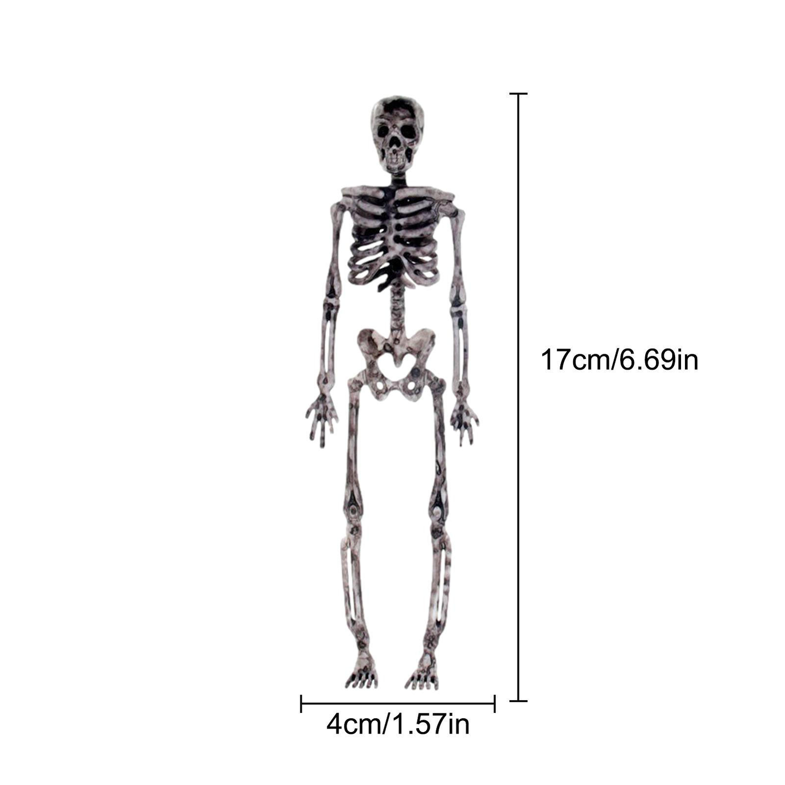 6.69in Halloween Skeleton Stakes Decorations, Realistic Skeleton ...