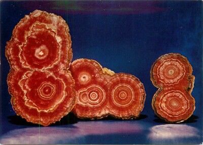 Postcard Vivid Red Rhodochrosite Specimens Museum of Natural History | eBay