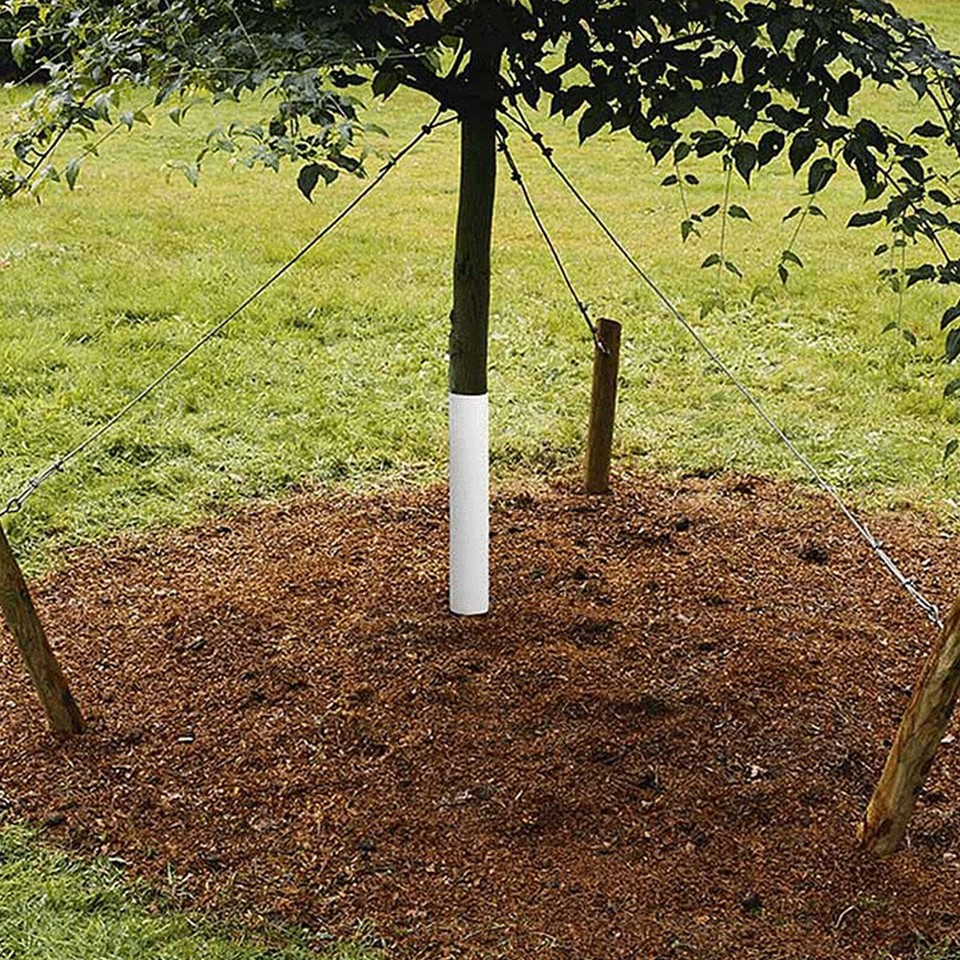 Tree Trunk Protector Plastic Tree Bark Protector Wrap Grow Tubes to ...