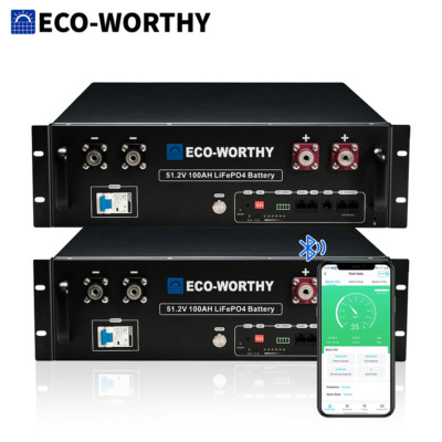 ECO-WORTHY 2Pack 48V 100Ah 10.24KWh Server Rack LiFePO4 Lithium Battery ...