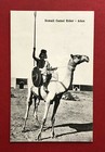 AK ADEN in Jemen um 1910 Typen Somali Camel Rider ( 82401 | eBay