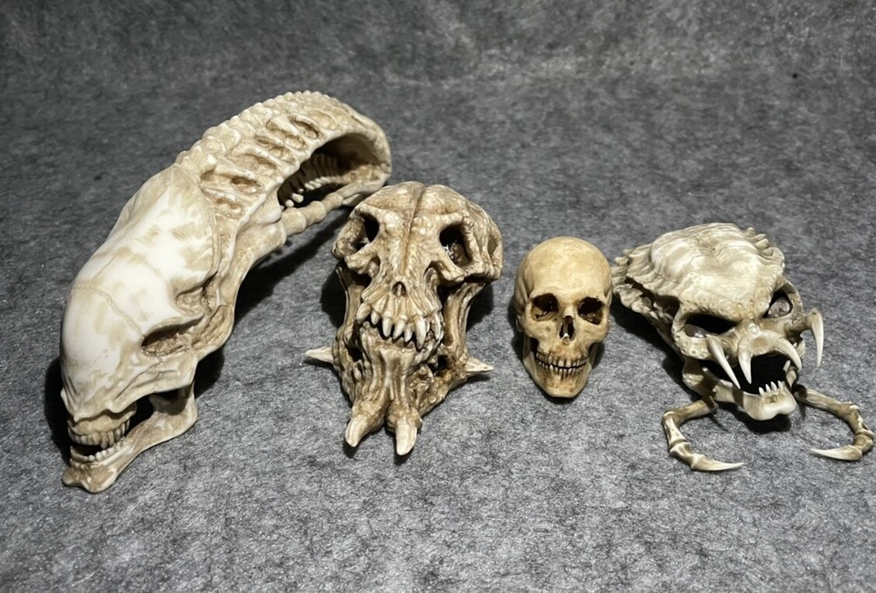 Alien Xenomorph Skull bone model For 1/6 Model Scene | eBay
