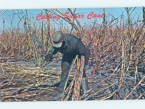 Chrome FARM SCENE Clewiston Florida FL j/01 AG2355@ | eBay