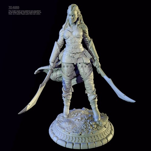1/24 resin figures model Mythical Sky Double Blade Elf 3D Printing ...