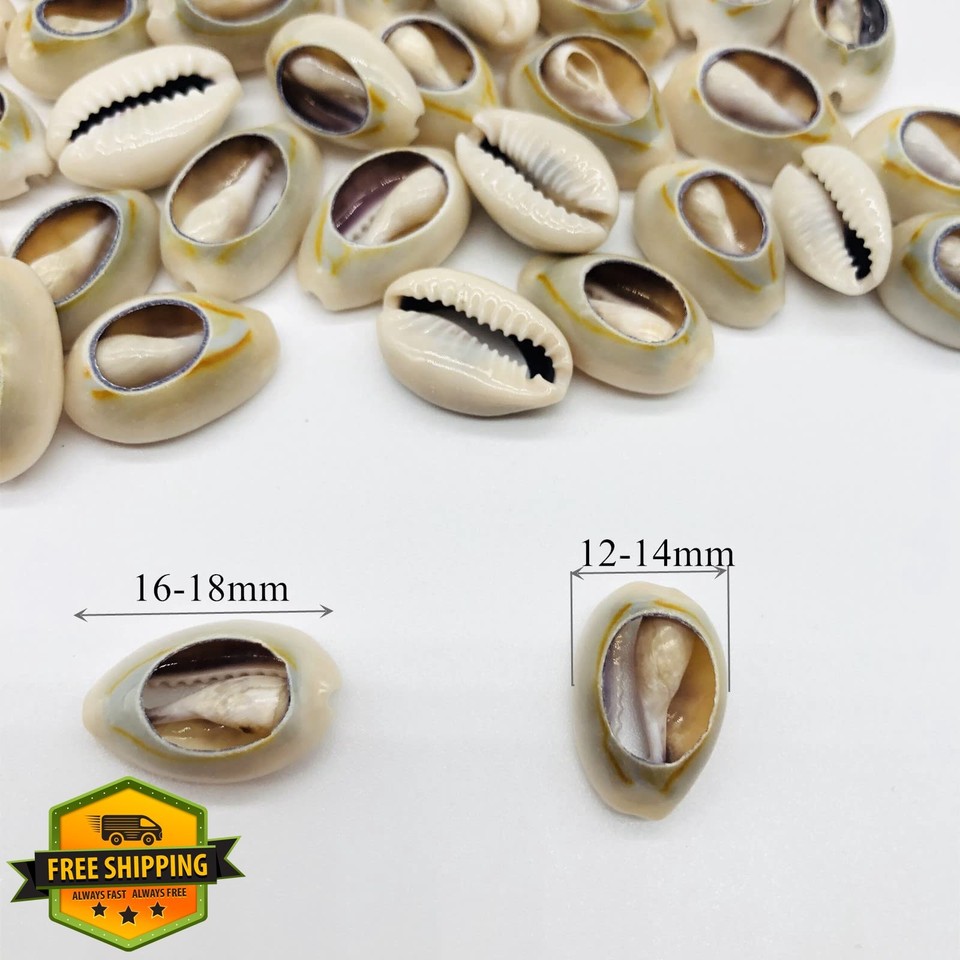 Fundiyoug 100pcs Cowrie Shells 16-18mm Grey Spiral Craft Beads Jewelry ...