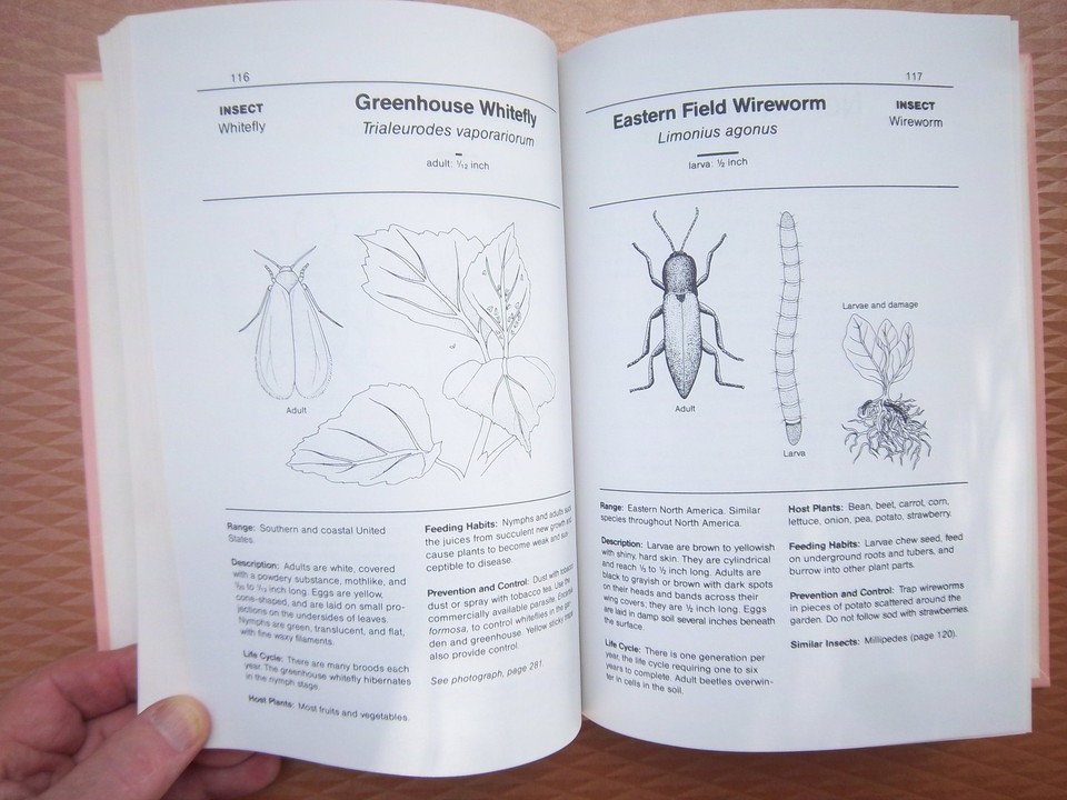 Rodale's Garden Insect, Disease, and Weed Identification Guide | eBay
