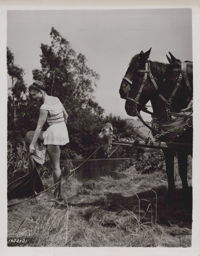 Hollywood Esther Williams (1960s) Cheesecake Bombshell Orig Vintage ...