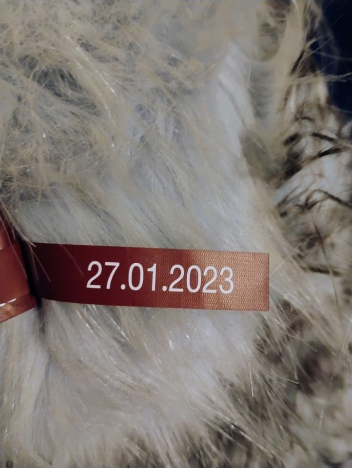 CHARLIE BEARS GINA 19.5" & HILARY SISTERS Designed By Isabelle Lee | eBay