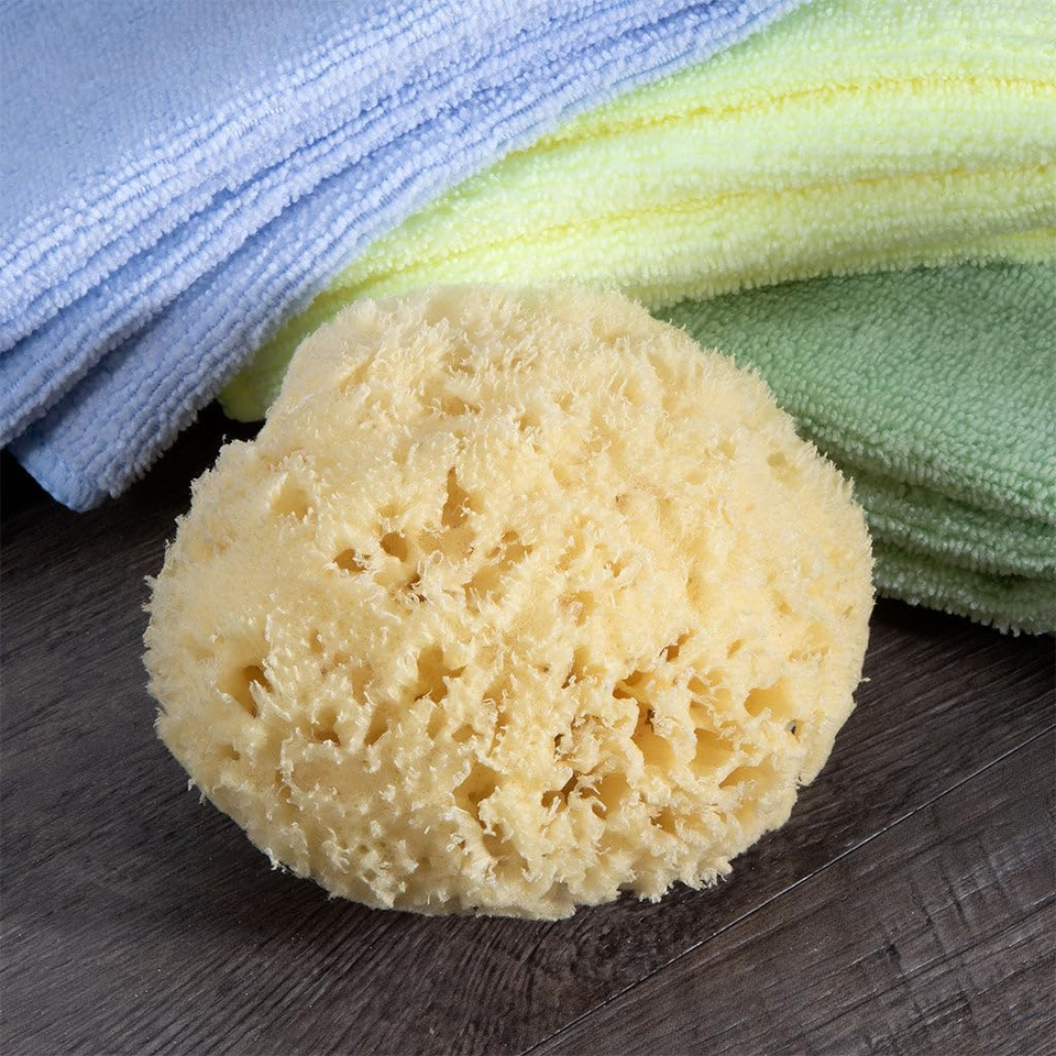 Sea Wool Sponge - All Natural Honeycomb Renewable Sea Sponge, Medium ...