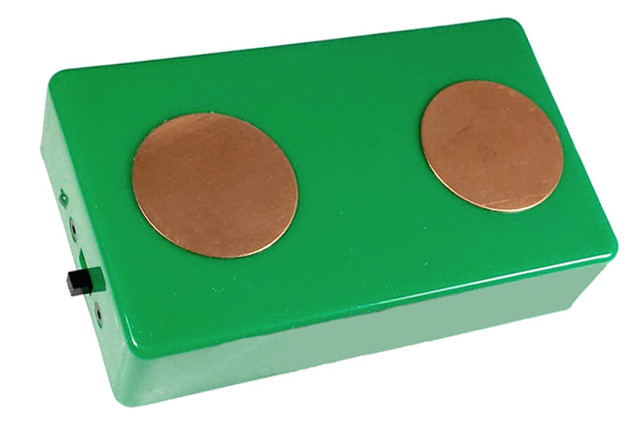 Terminator Zapper w/ FAST same day shipping Kill Parasites Bacteria ...