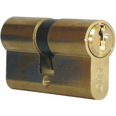 Cylindre double 30 x 50 mm sur variure KCF 005502 - City 5G ISEO | eBay
