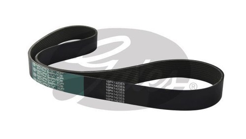 Gates V-Ribbed Belt 10PK1423HD | eBay