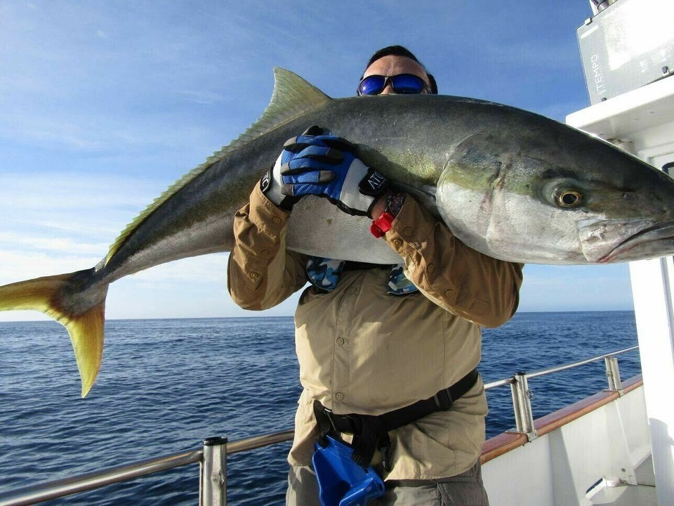2025 Hamachi Nano Jig Xtreme PE 5-13 50 - 130lb Japanese jig rod ...